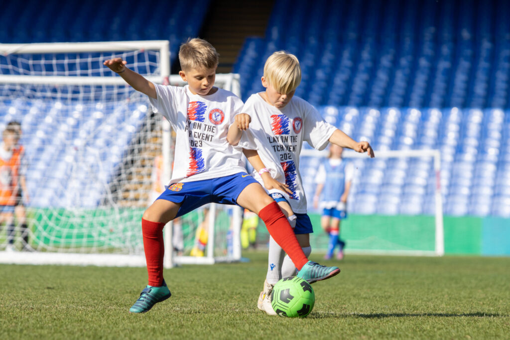 Player Development Centres | Palace for Life Foundation