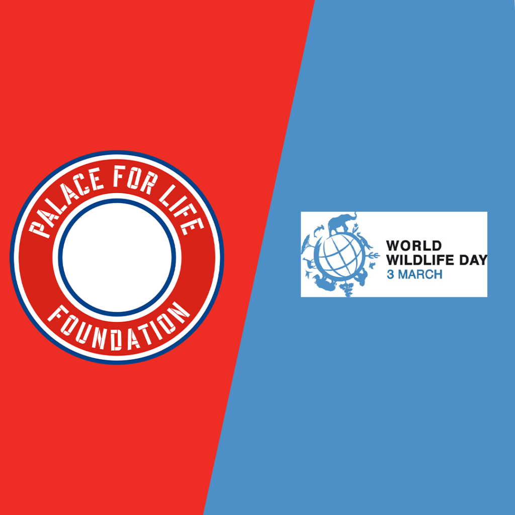Palace for Life and Crystal Palace support World Wildlife Day campaign ...