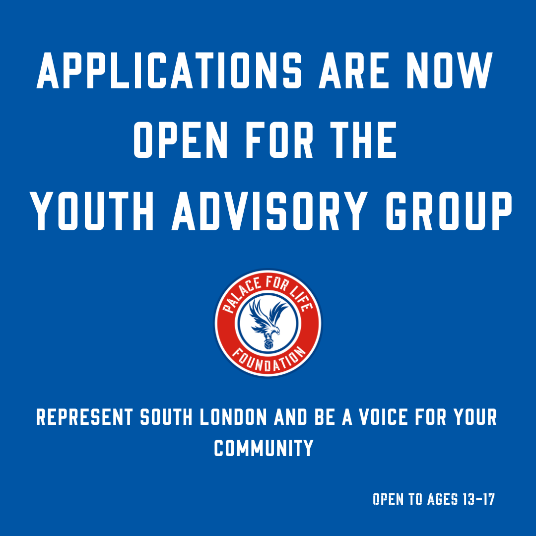 Applications for Youth Advisory Group now open | Palace for Life Foundation